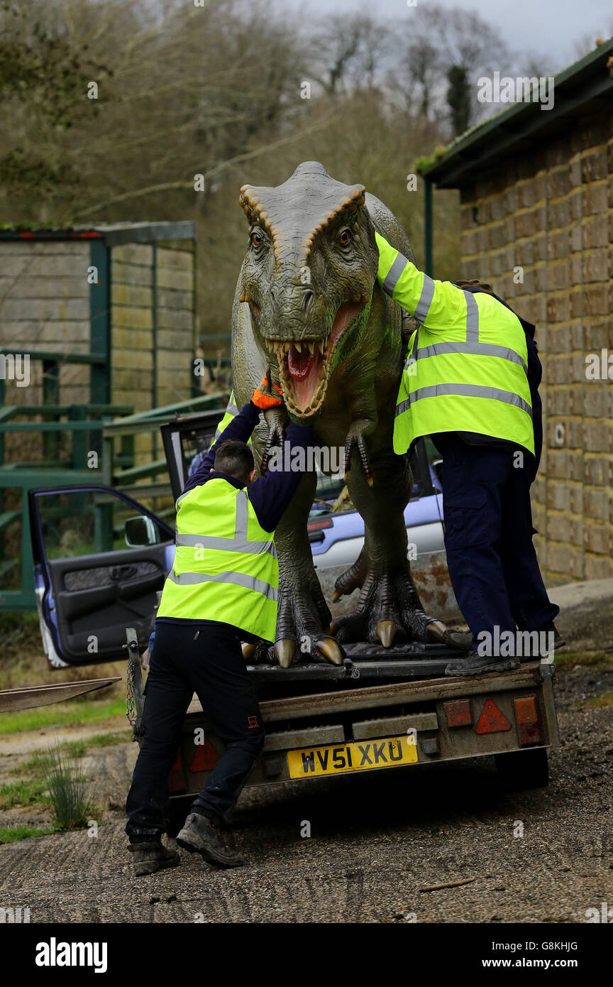 Dinosaur delivery at Port Lympne Wild Animal Park Stock Photo - Alamy
