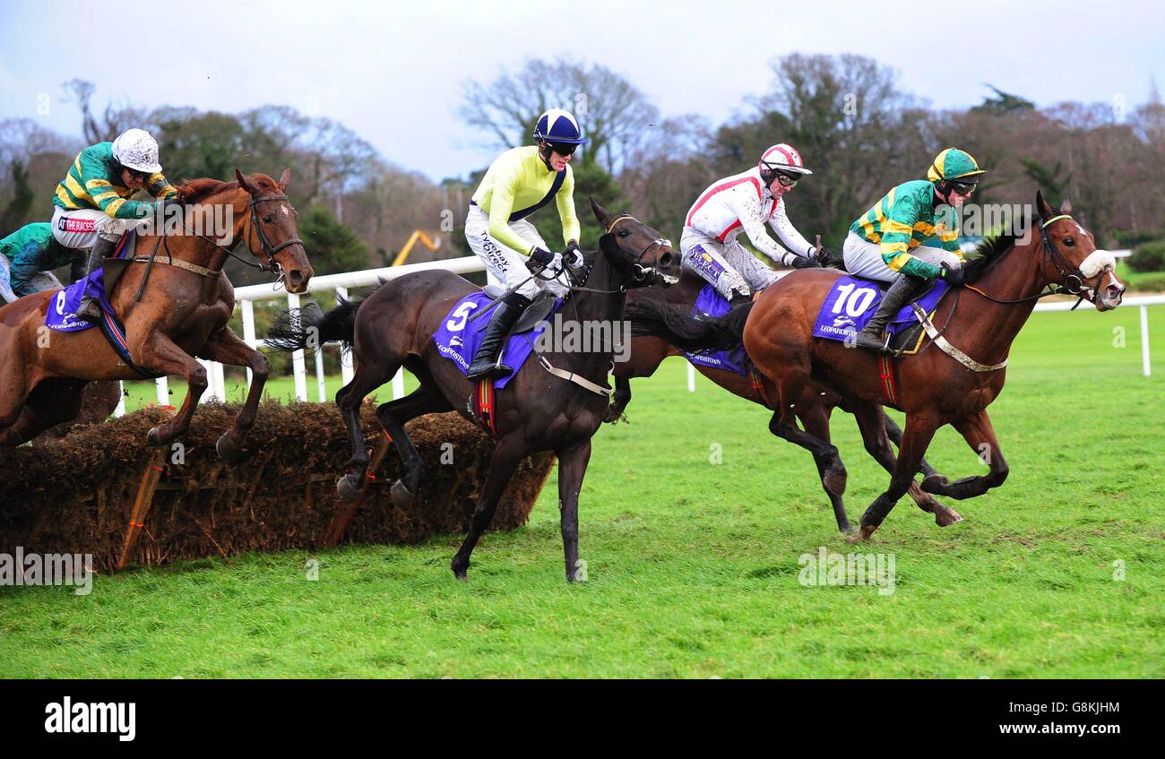 Irish Gold Cup - Leopardstown Racecourse Stock Photo - Alamy