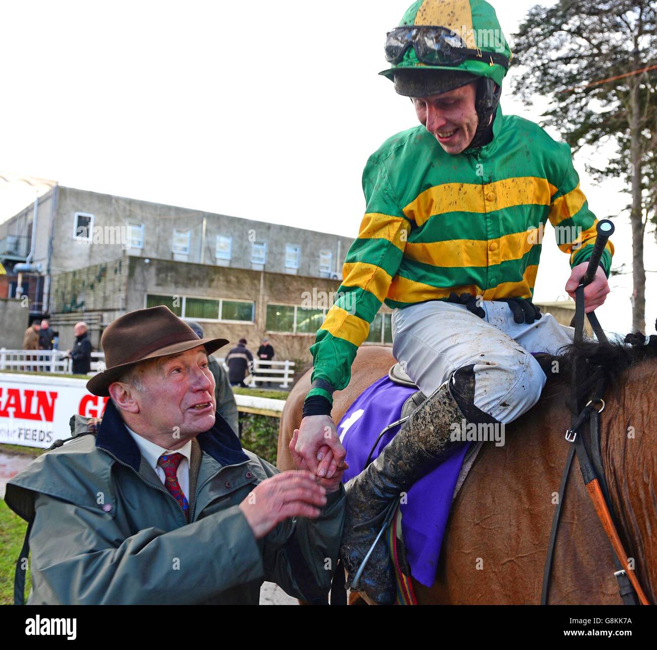 Irish Gold Cup - Leopardstown Racecourse Stock Photo - Alamy
