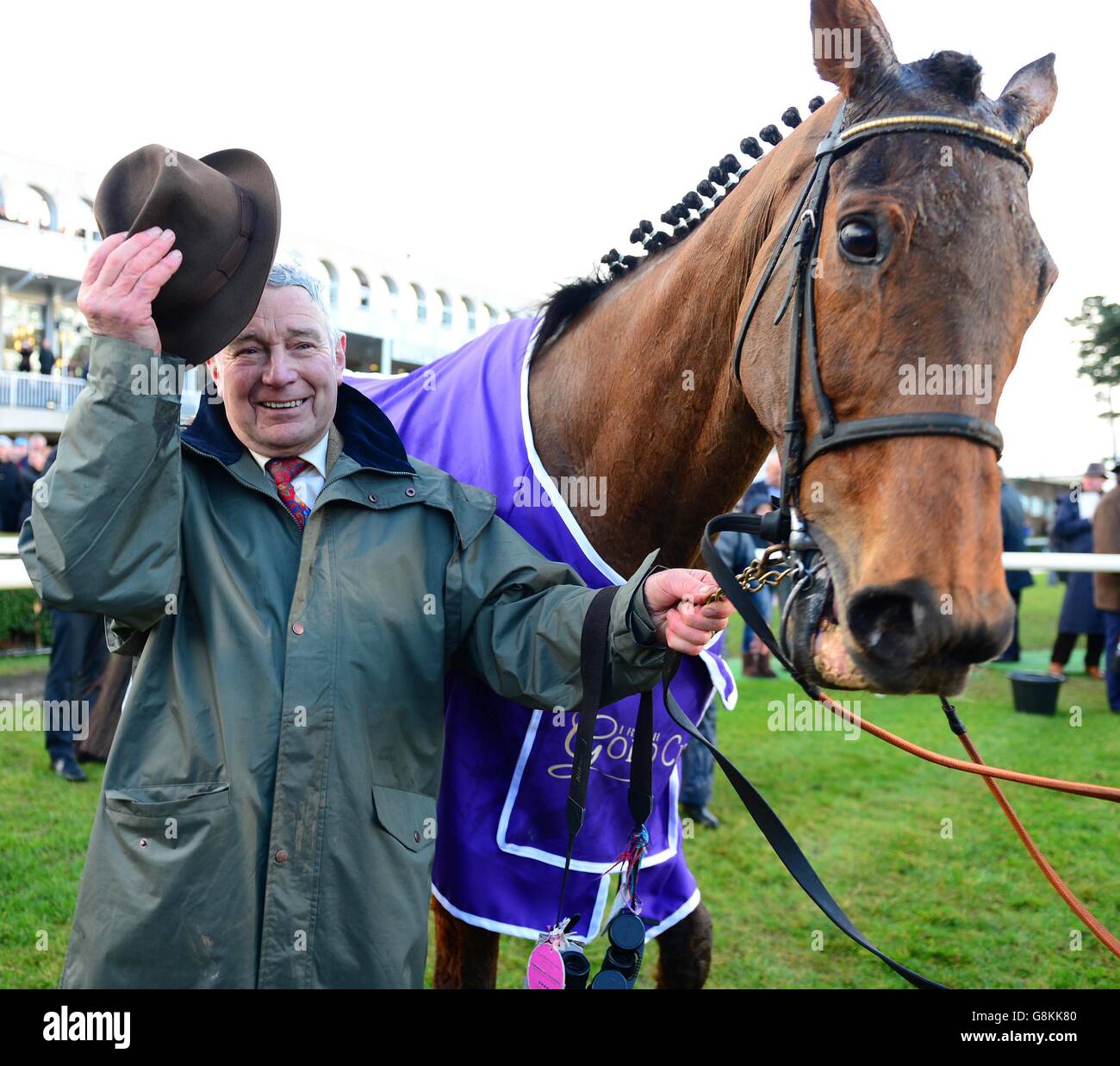 Irish Gold Cup - Leopardstown Racecourse Stock Photo - Alamy
