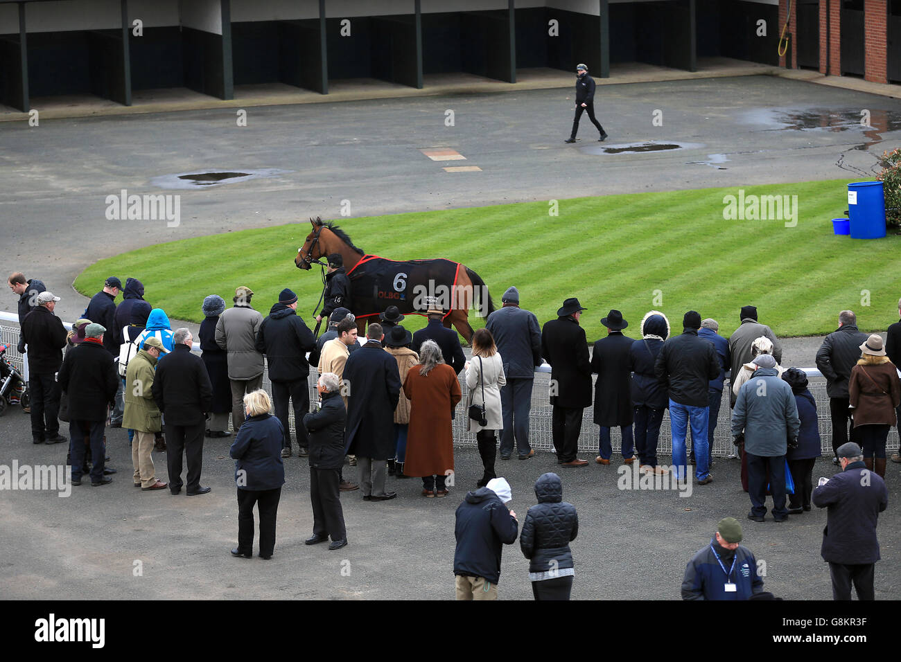 The parade ring at warwick racecourse hi-res stock photography and ...