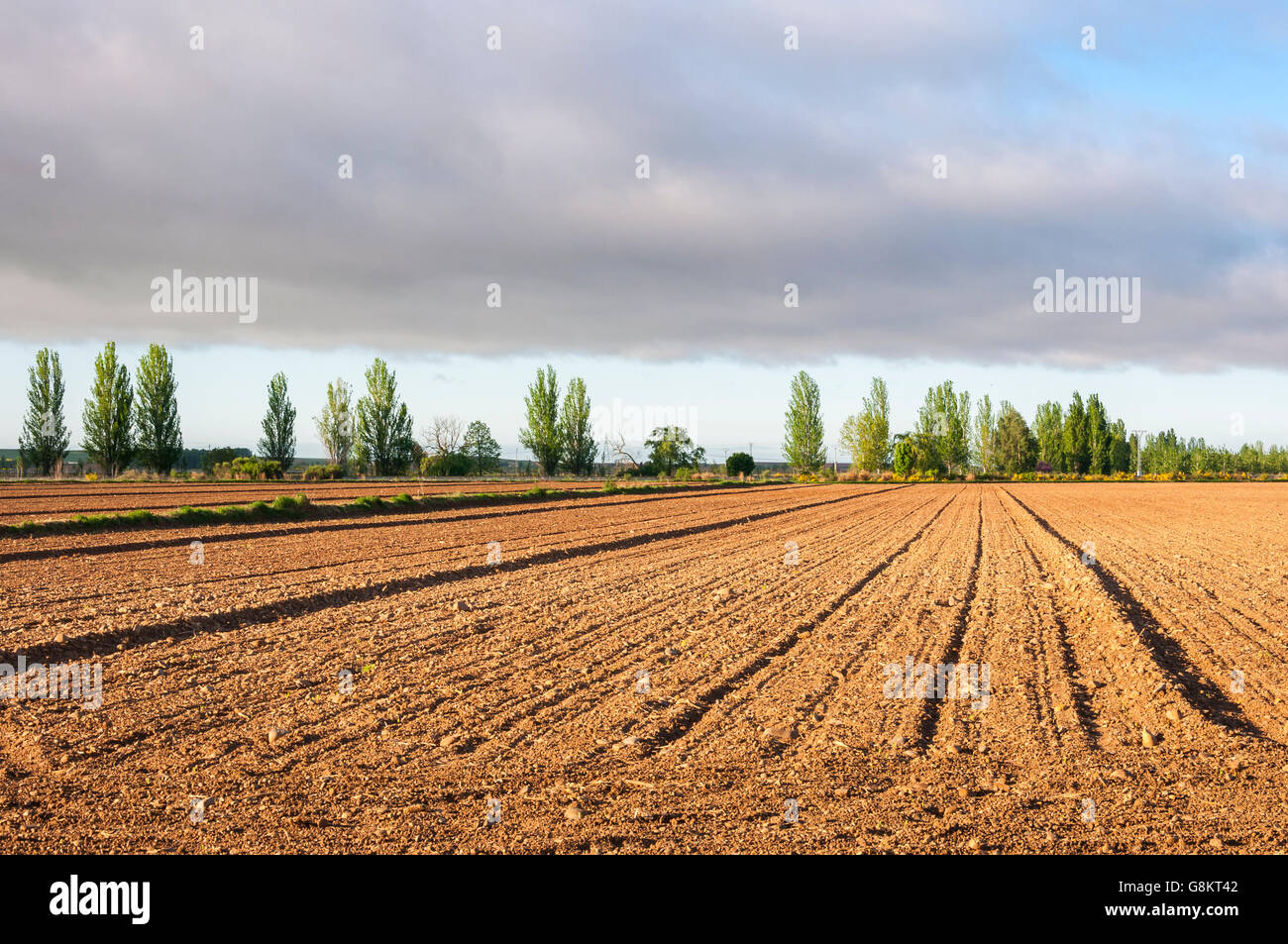 Rio esla hi-res stock photography and images - Alamy