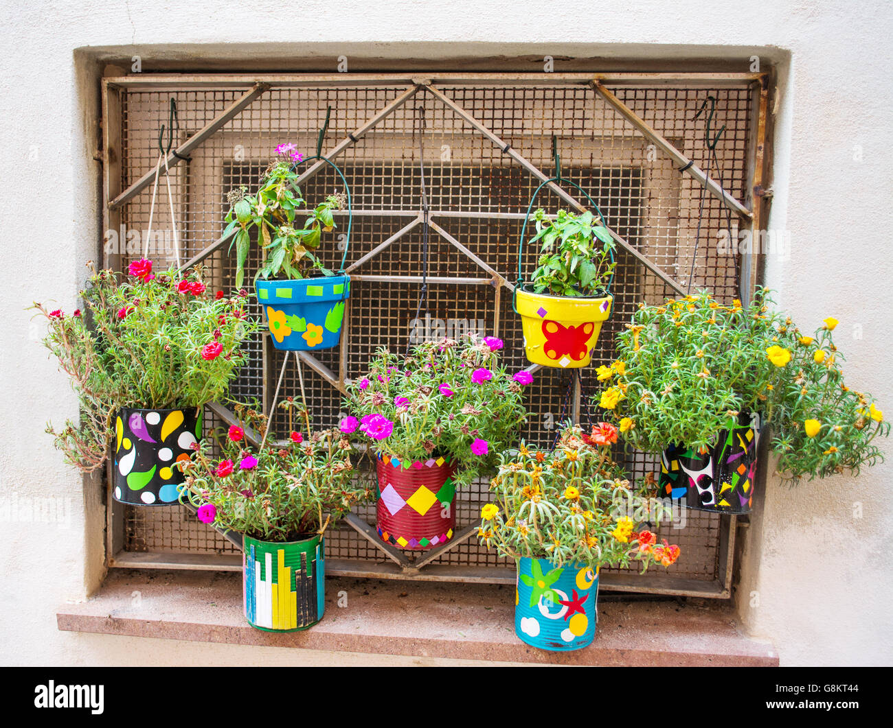 colorful flower pots in a rustic wall Stock Photo - Alamy