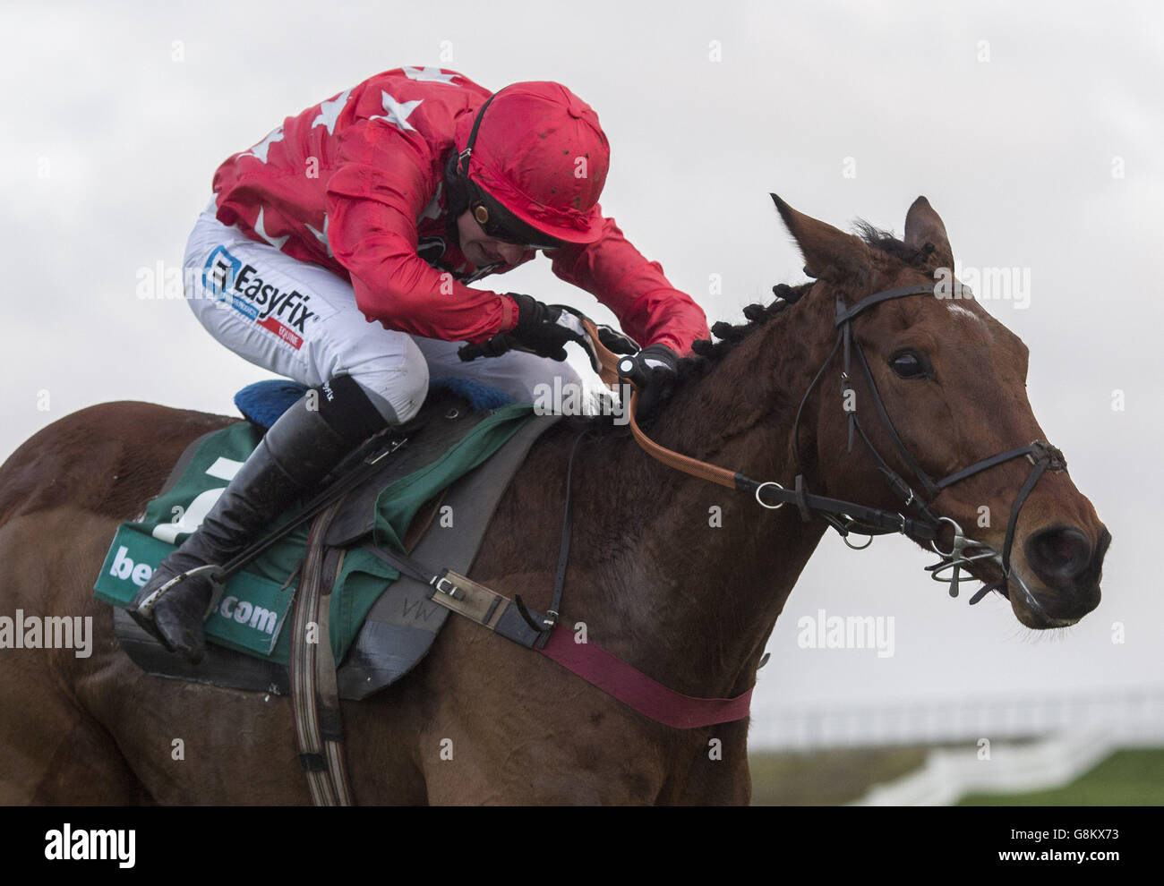 Clarence house chase raceday hi-res stock photography and images - Alamy