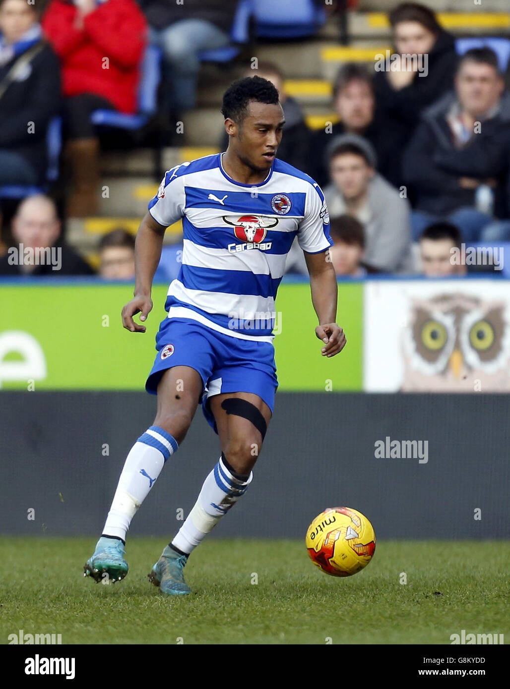 Reading v Sheffield Wednesday - Sky Bet Championship - Madejski Stadium ...