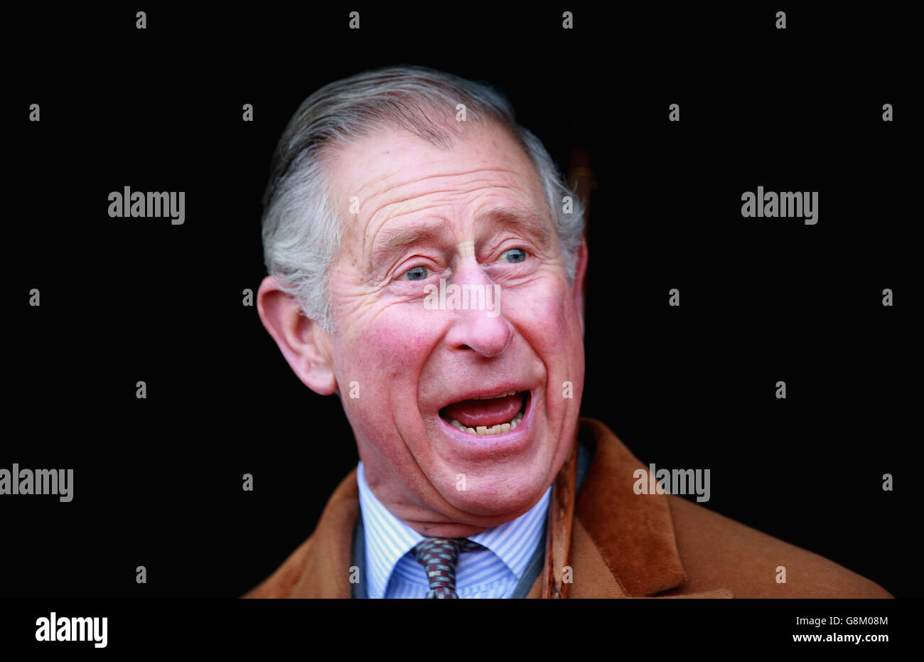 The Prince of Wales, Patron and Founder of the Prince's Regeneration ...