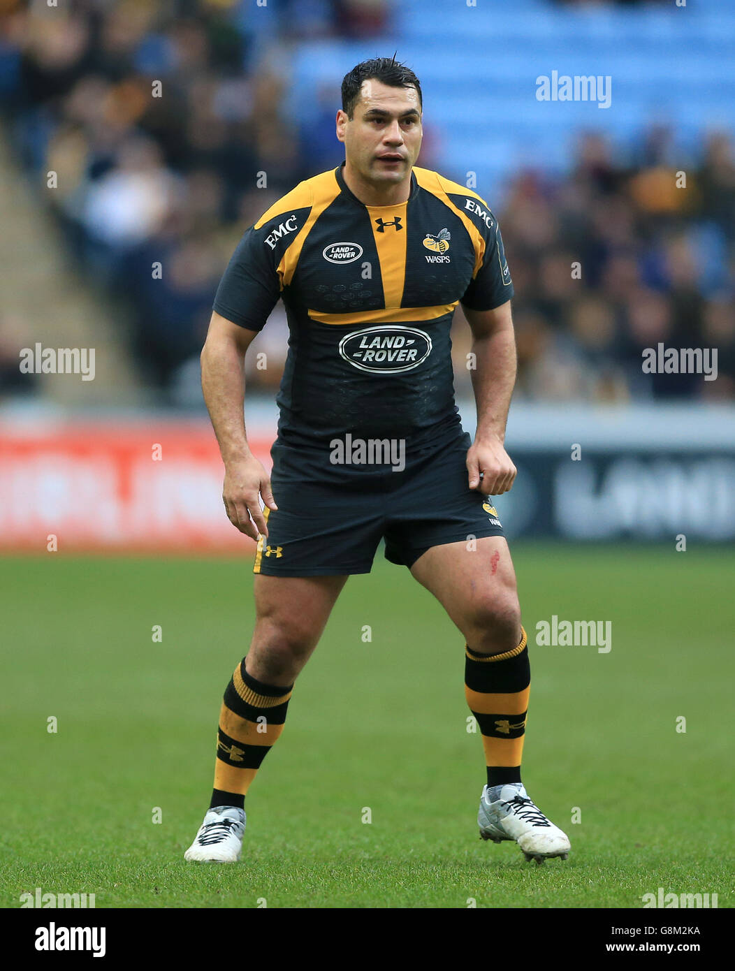 George smith rugby hi-res stock photography and images - Alamy