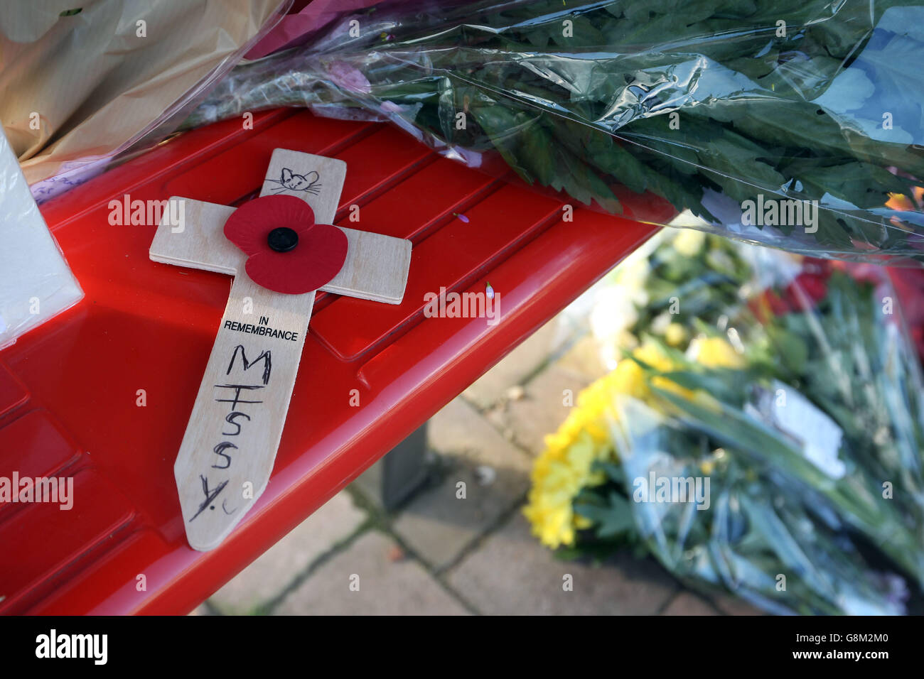 Missy the cat Stock Photo - Alamy