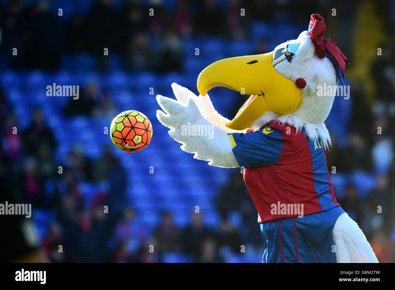 Alice the eagle hi-res stock photography and images - Alamy