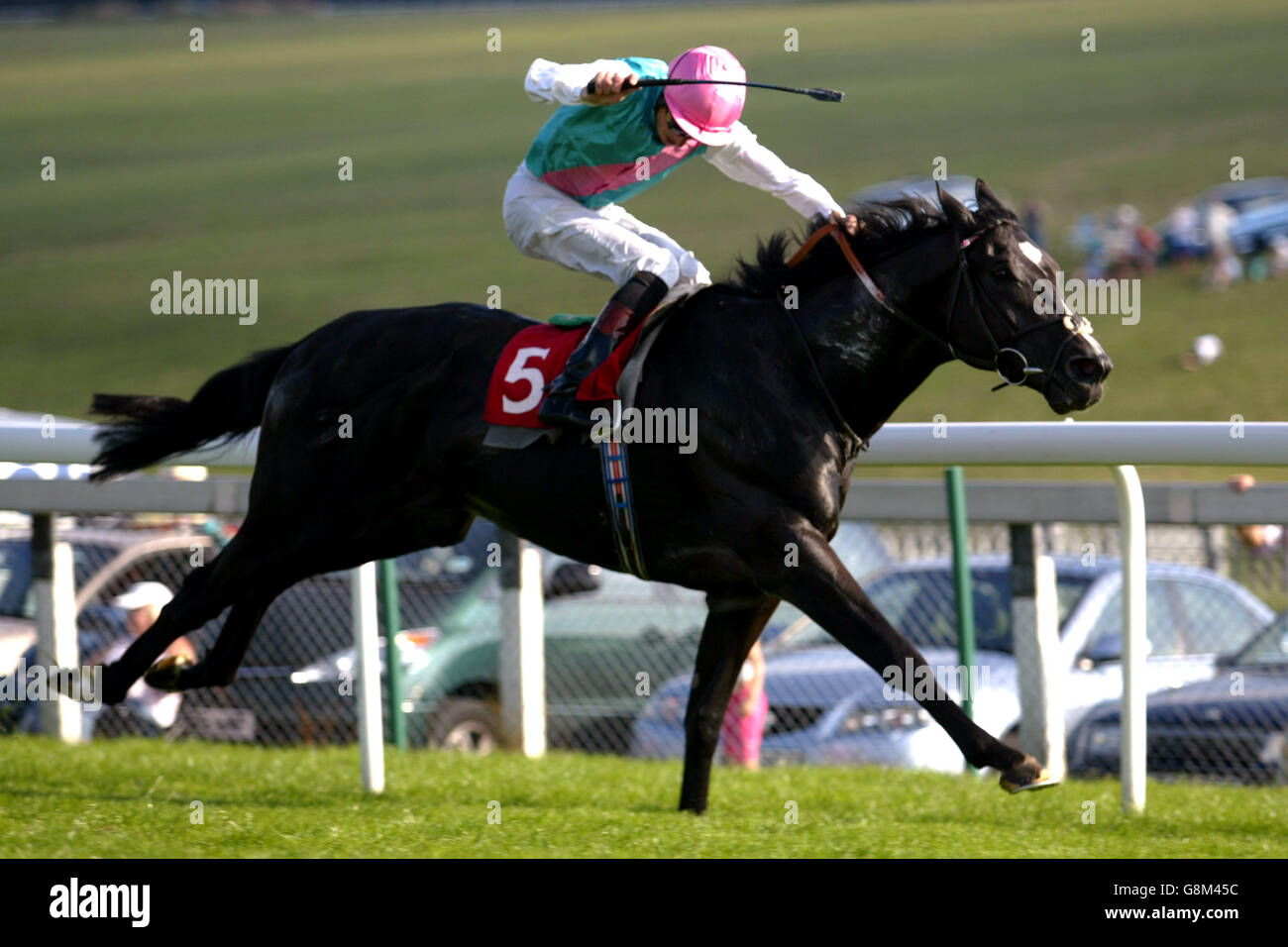 Horse Racing - Epsom Live! - Epsom Downs Racecourse Stock Photo - Alamy
