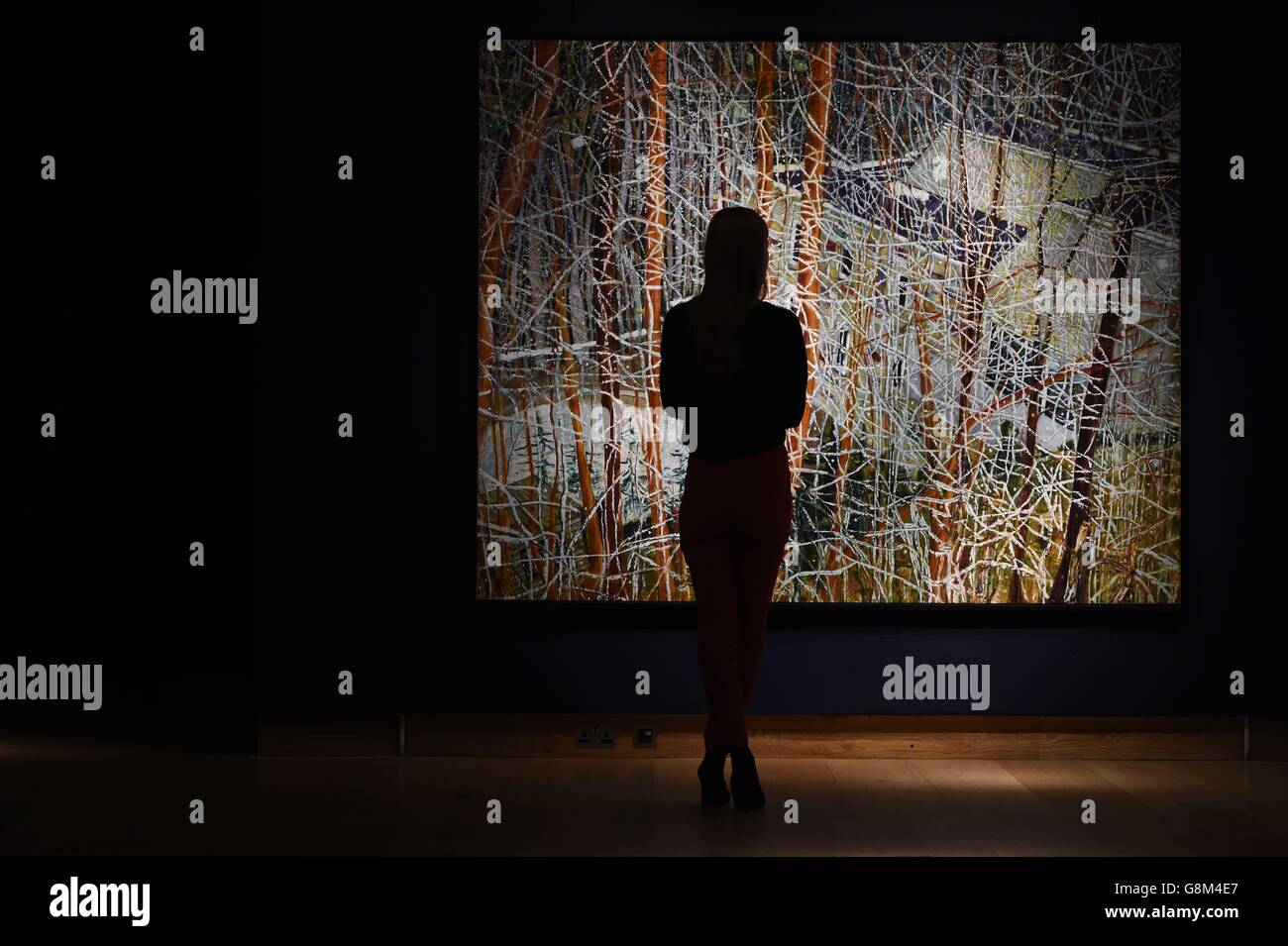 Peter doig architects home in hi-res stock photography and images - Alamy