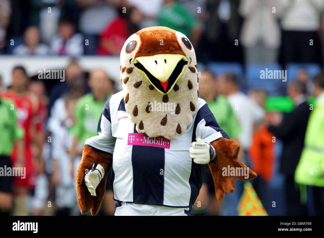 West brom mascot hi-res stock photography and images - Alamy