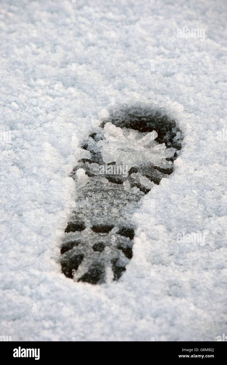 Footprints on a path through Falkirk Tryst golf club near Larbert in ...