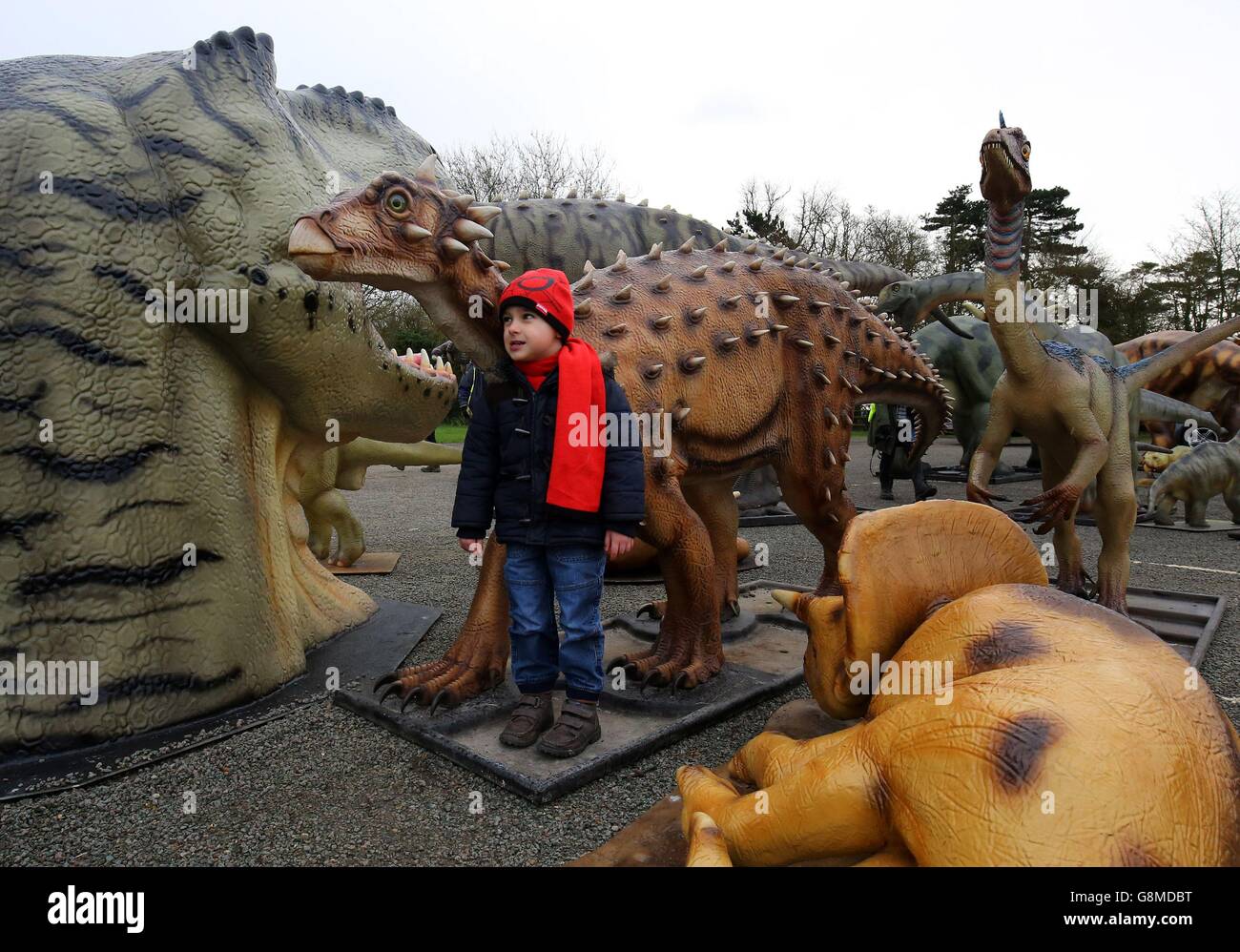 Dinosaur delivery at Port Lympne Wild Animal Park Stock Photo - Alamy