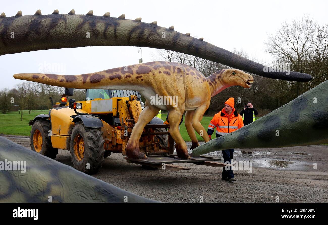 Dinosaur delivery at Port Lympne Wild Animal Park Stock Photo - Alamy