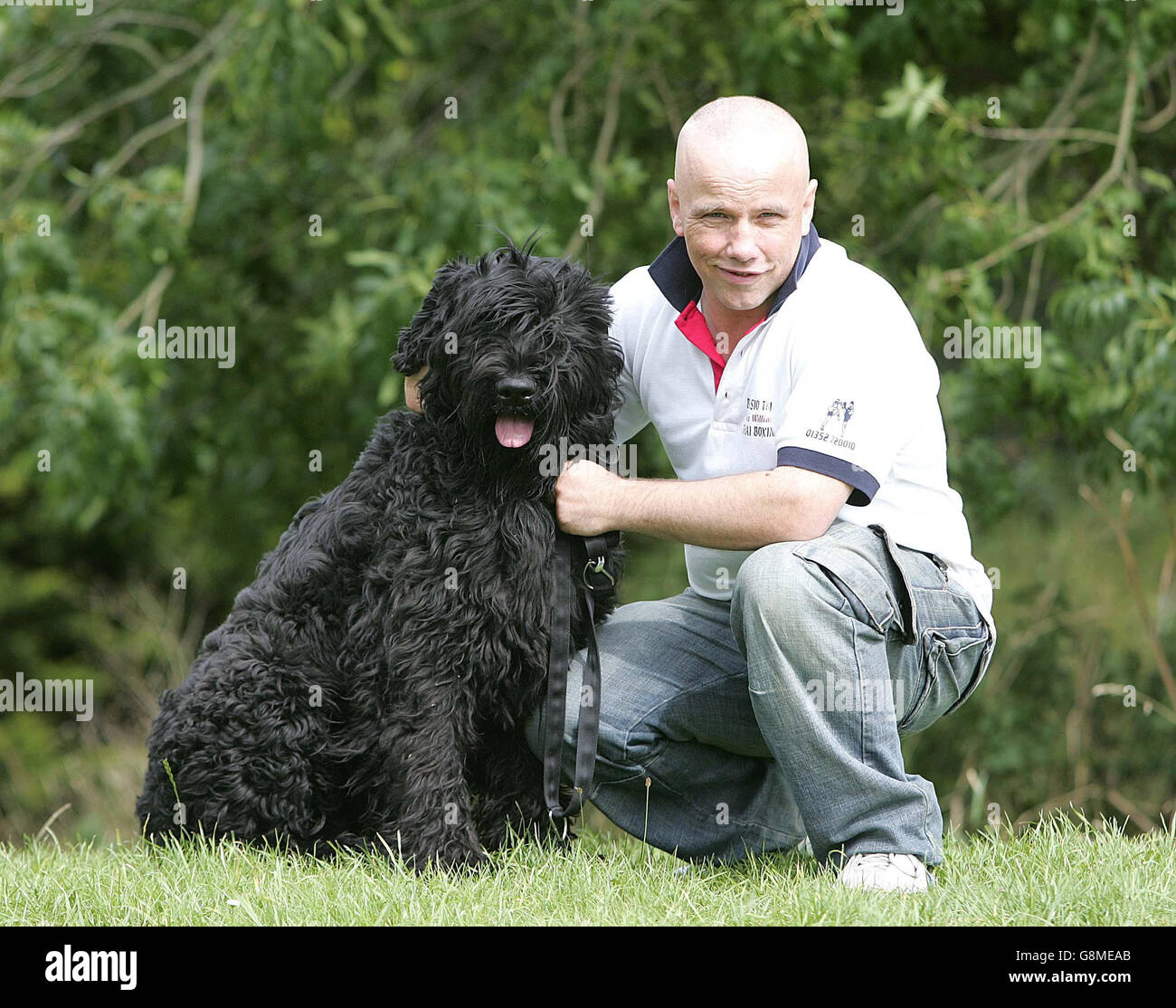 Black russian terriers hi-res stock photography and images - Alamy
