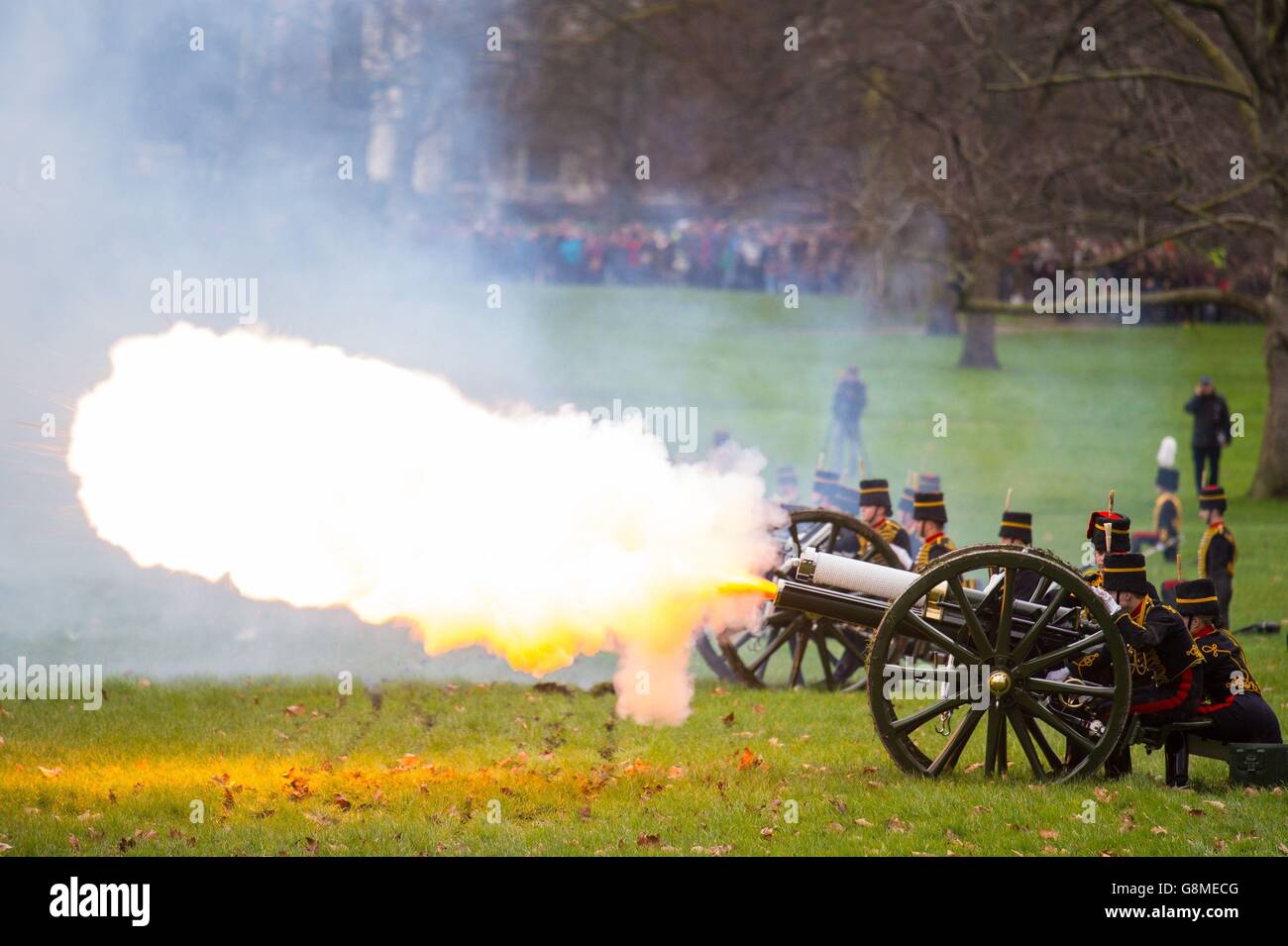 Queens accession day hi-res stock photography and images - Alamy