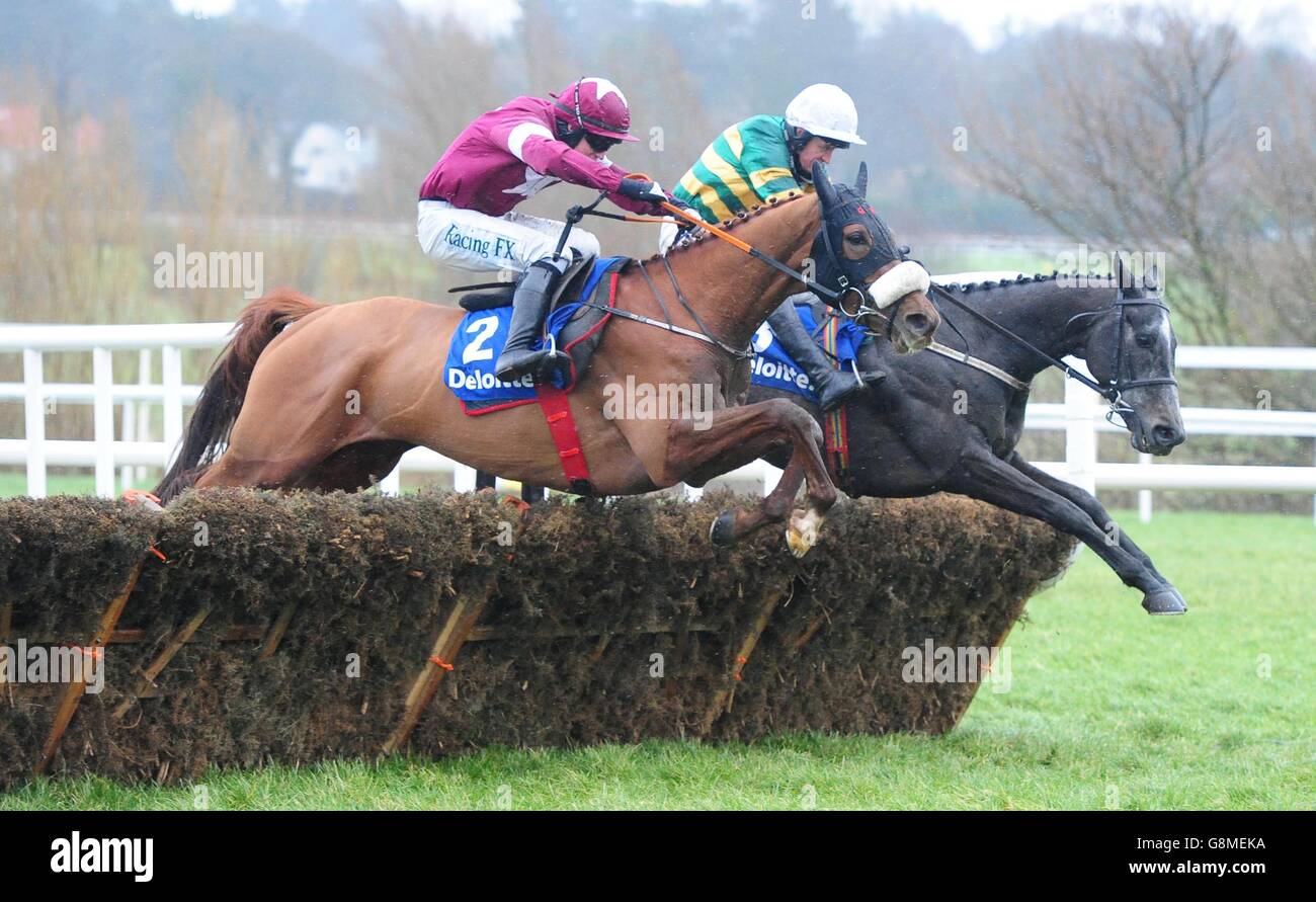 Irish Gold Cup - Leopardstown Racecourse Stock Photo - Alamy