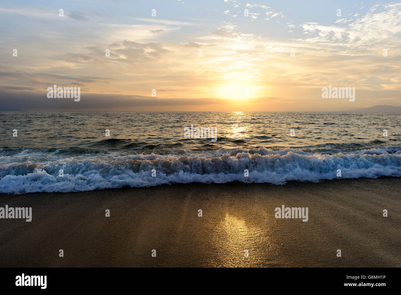 Ocean sunset is a brightly lit golden seascape with a gentle wave ...