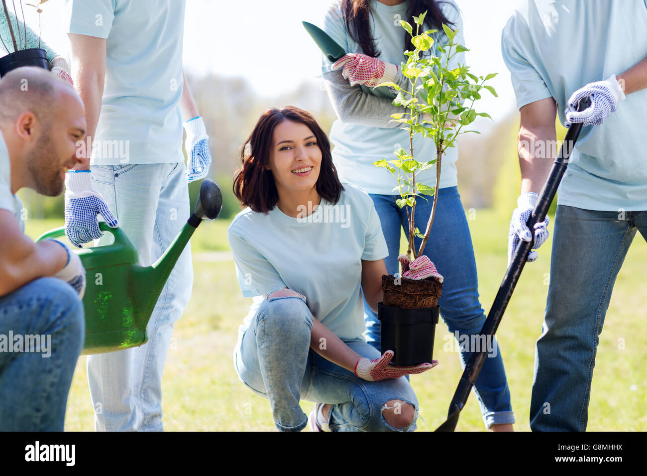 group of volunteers planting tree in park Stock Photo - Alamy