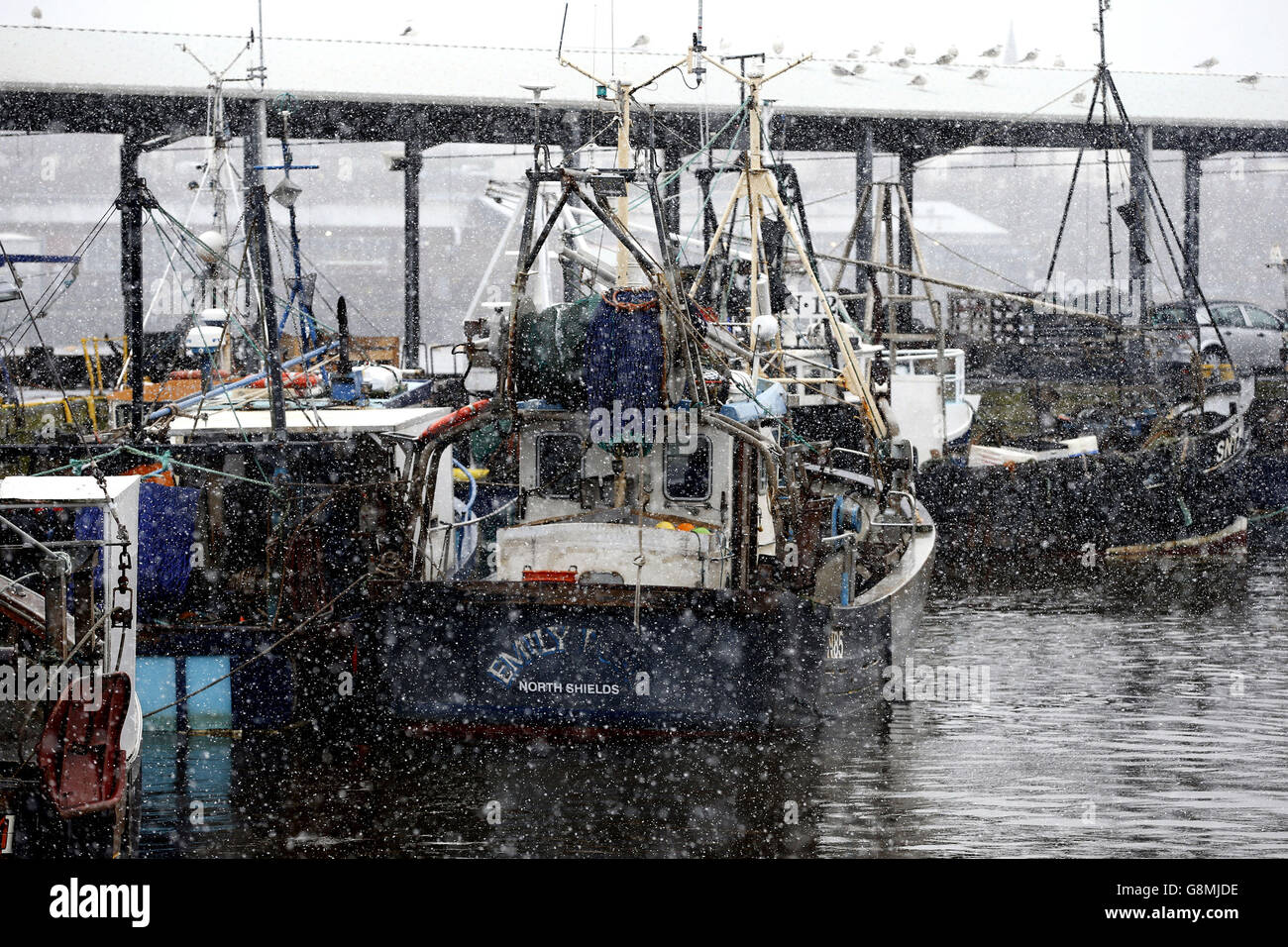 Snow falls at the North Shields Fish Quay near Newcastle upon Tyne, as ...