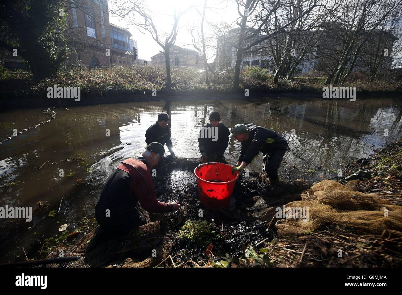 Basingstoke Canal maintenance Stock Photo - Alamy