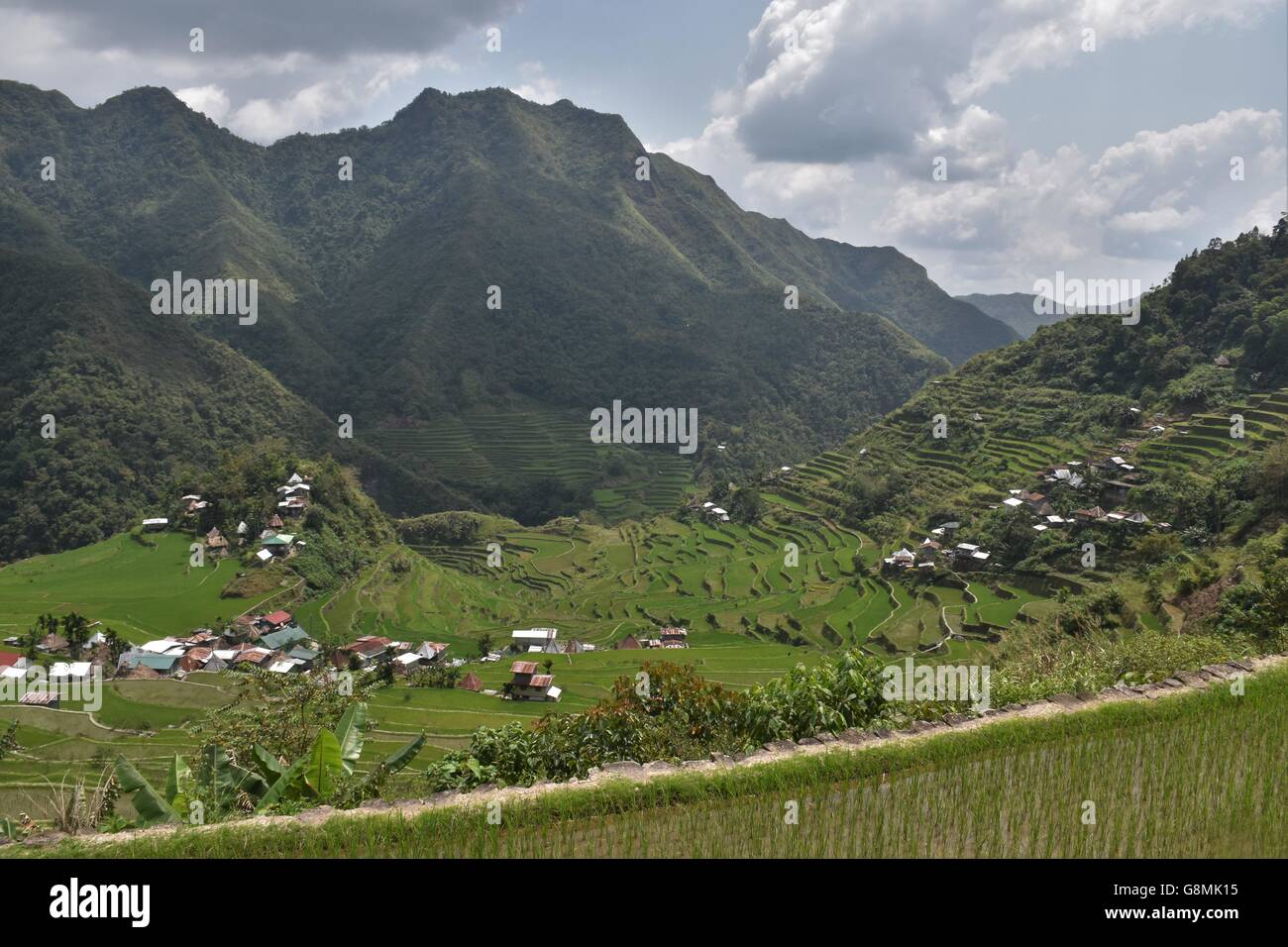 Philippines rice fields hi-res stock photography and images - Alamy