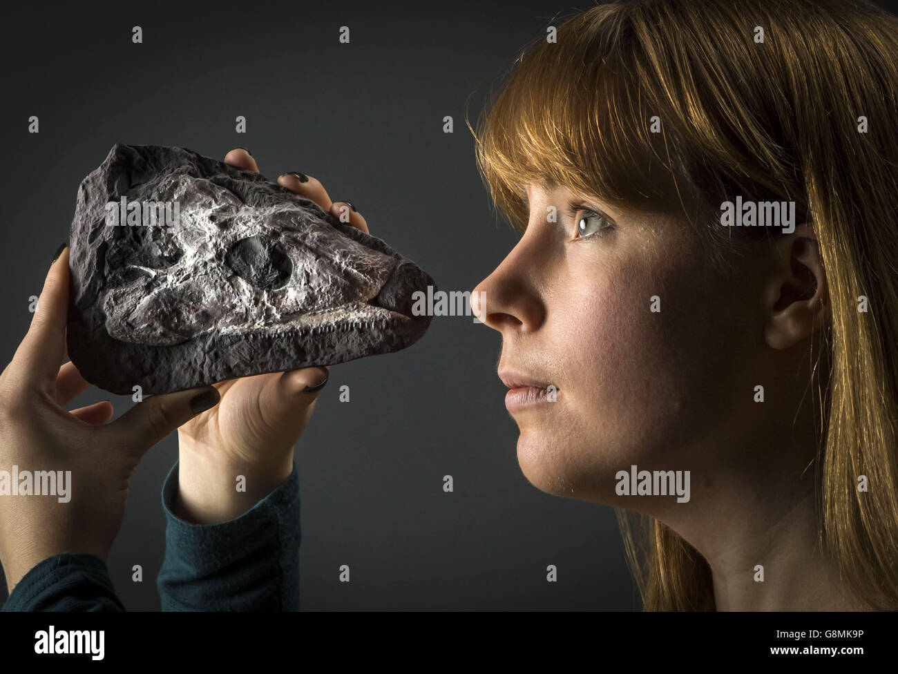 Unearthing fossils hi-res stock photography and images - Alamy