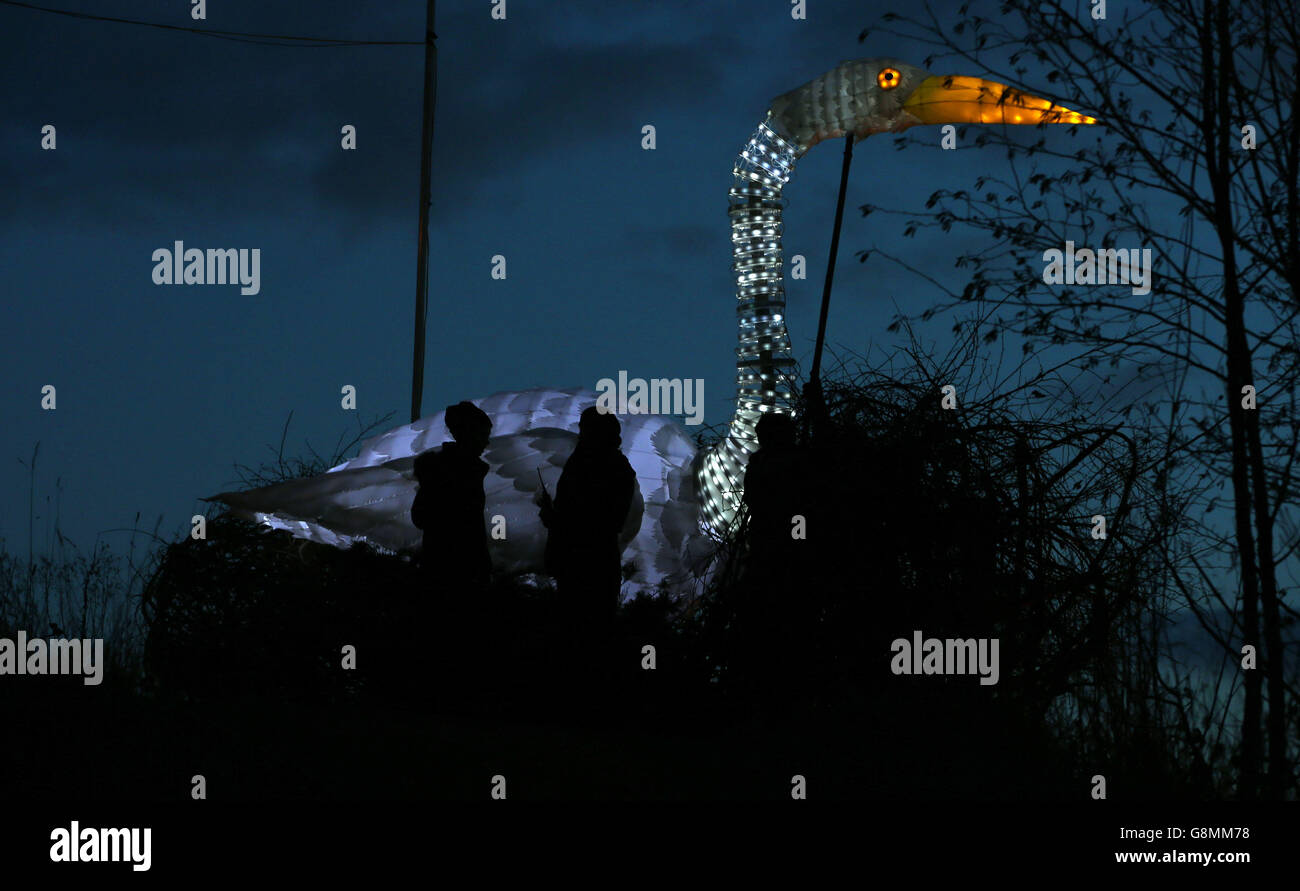 Paper lanterns shaped like giant Bugs and Creatures are lit during the ...