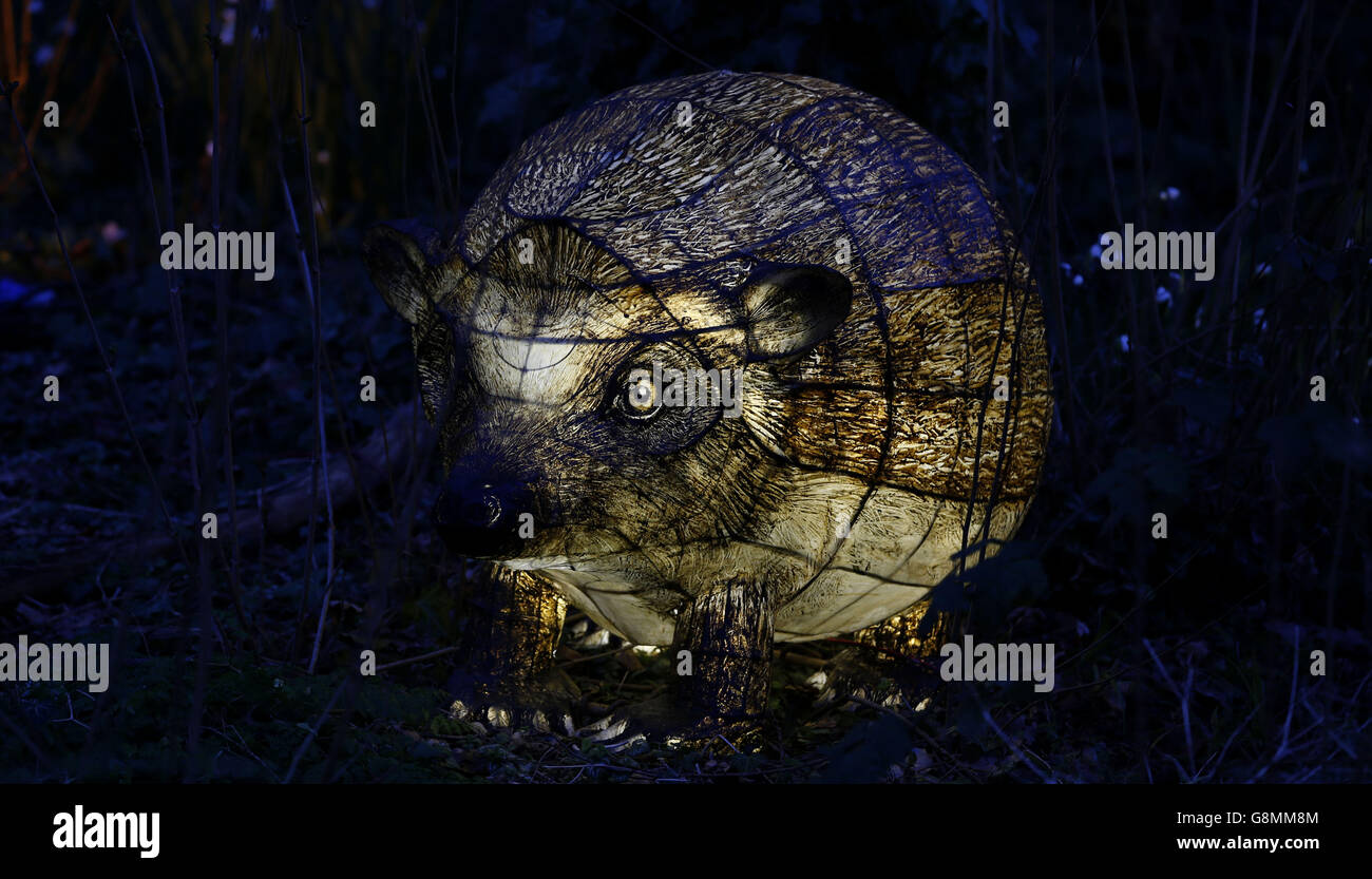 Paper lanterns shaped like giant Bugs and Creatures are lit during the ...