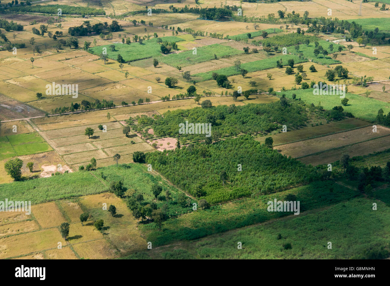 the landscape and Fields near the city of Buri Ram in Isan in Thailand ...