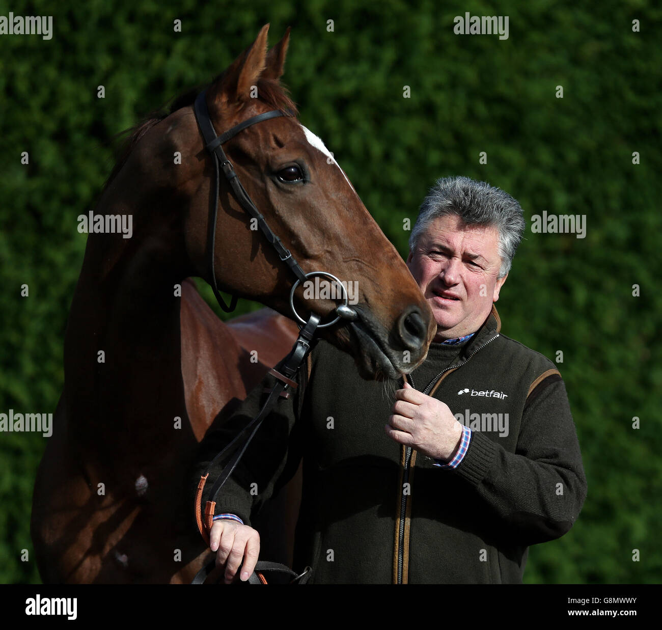 Paul nicholls stable visit manor farm stables hi-res stock photography ...
