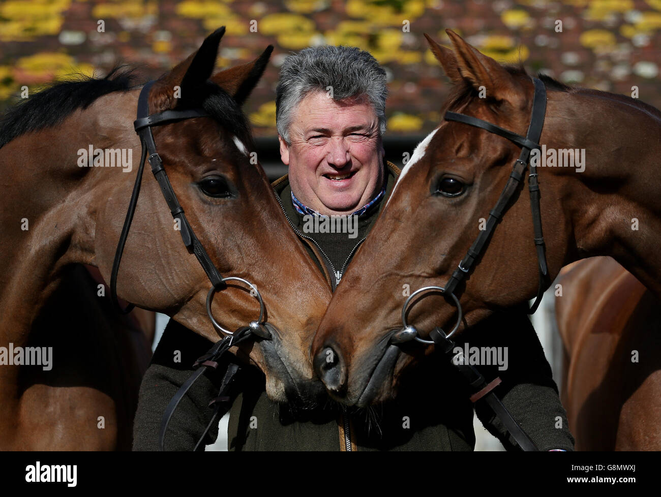 Visit to paul nicholls stables hi-res stock photography and images - Alamy