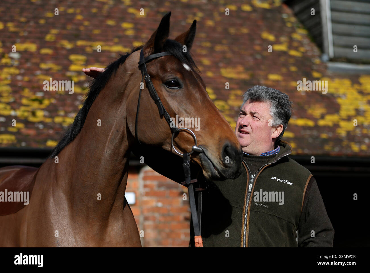 Paul nicholls stable visit manor farm stables hi-res stock photography ...