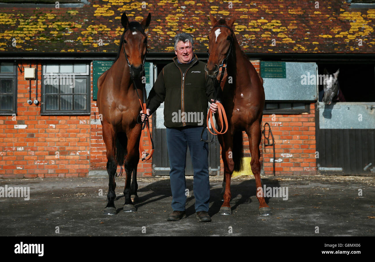 Paul nicholls stable visit manor farm stables hi-res stock photography ...