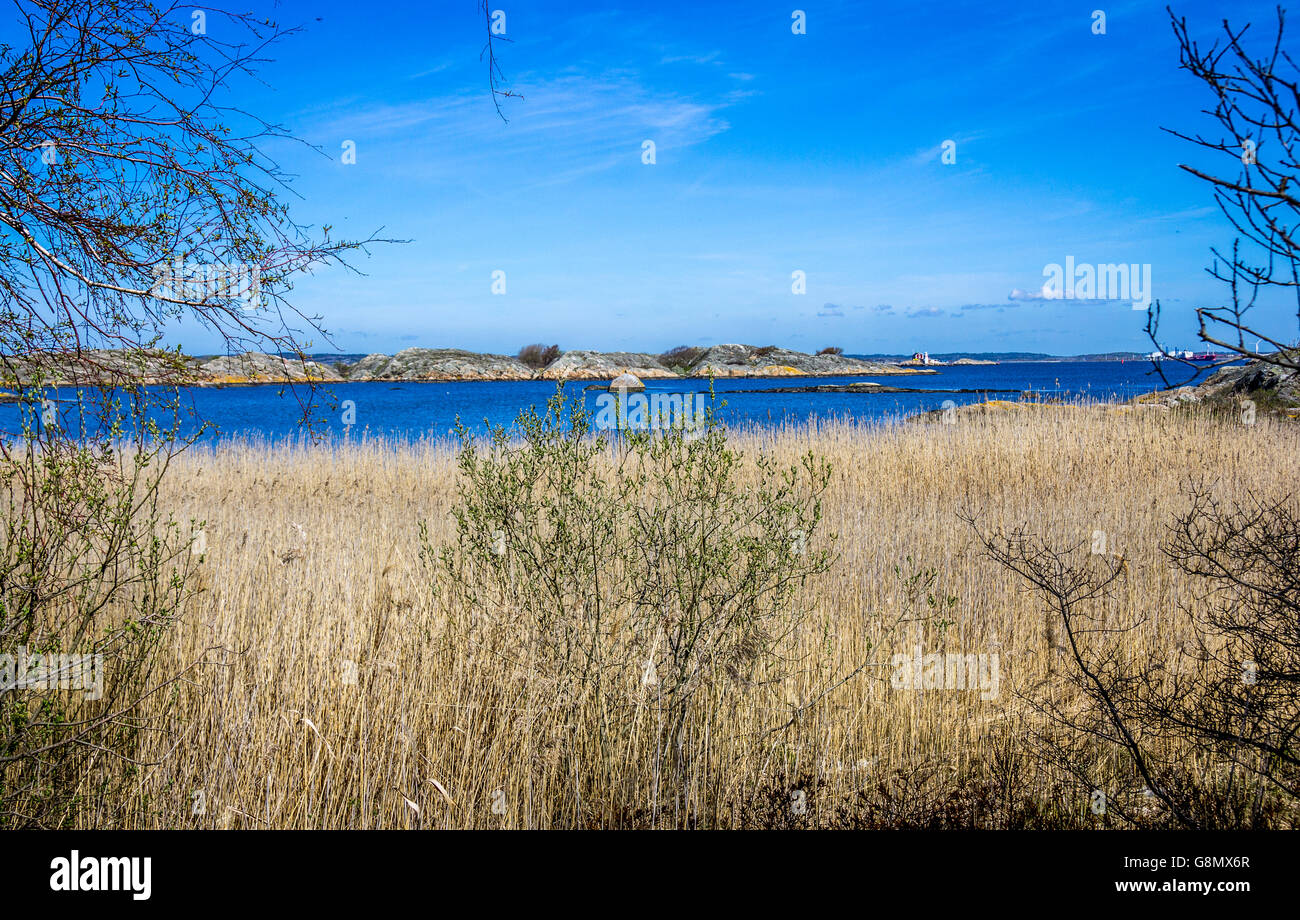 Sweden nature background hi-res stock photography and images - Alamy