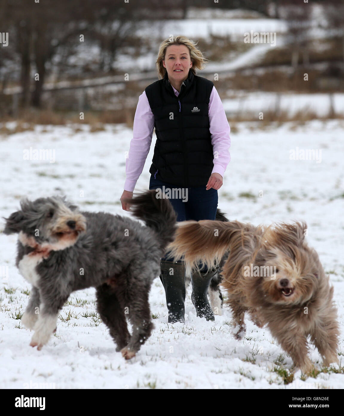Professional dog walker Hilary Clinton from Carrbridge in the Highlands ...