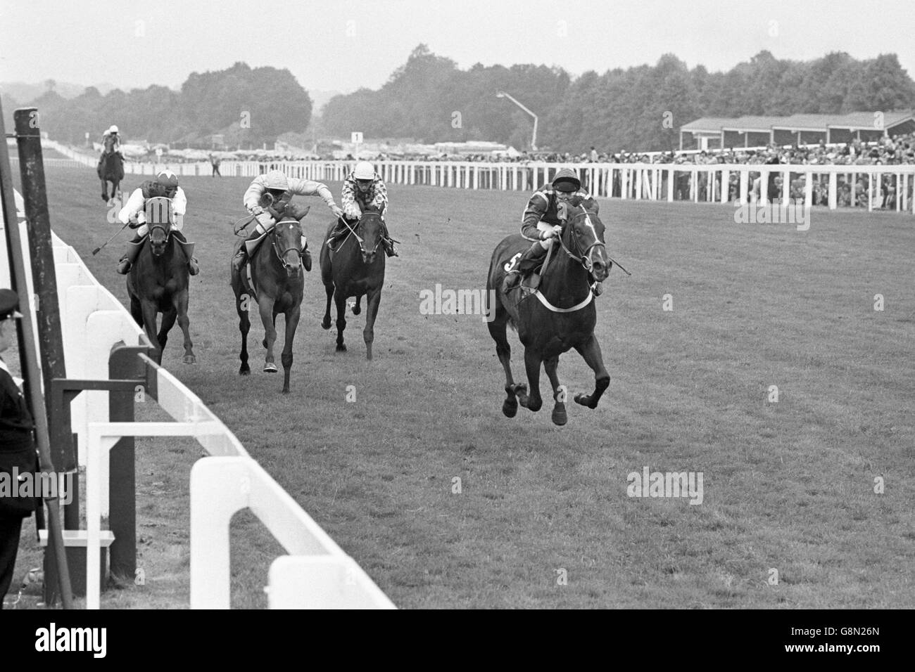 Royal Heroine (r), P Robinson up, comes home to win from Henry's Secret ...