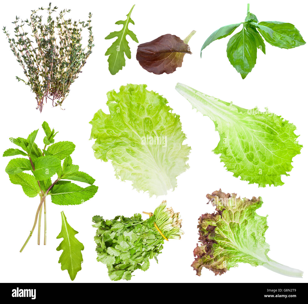 set of various fresh salad leaves isolated on white background Stock ...