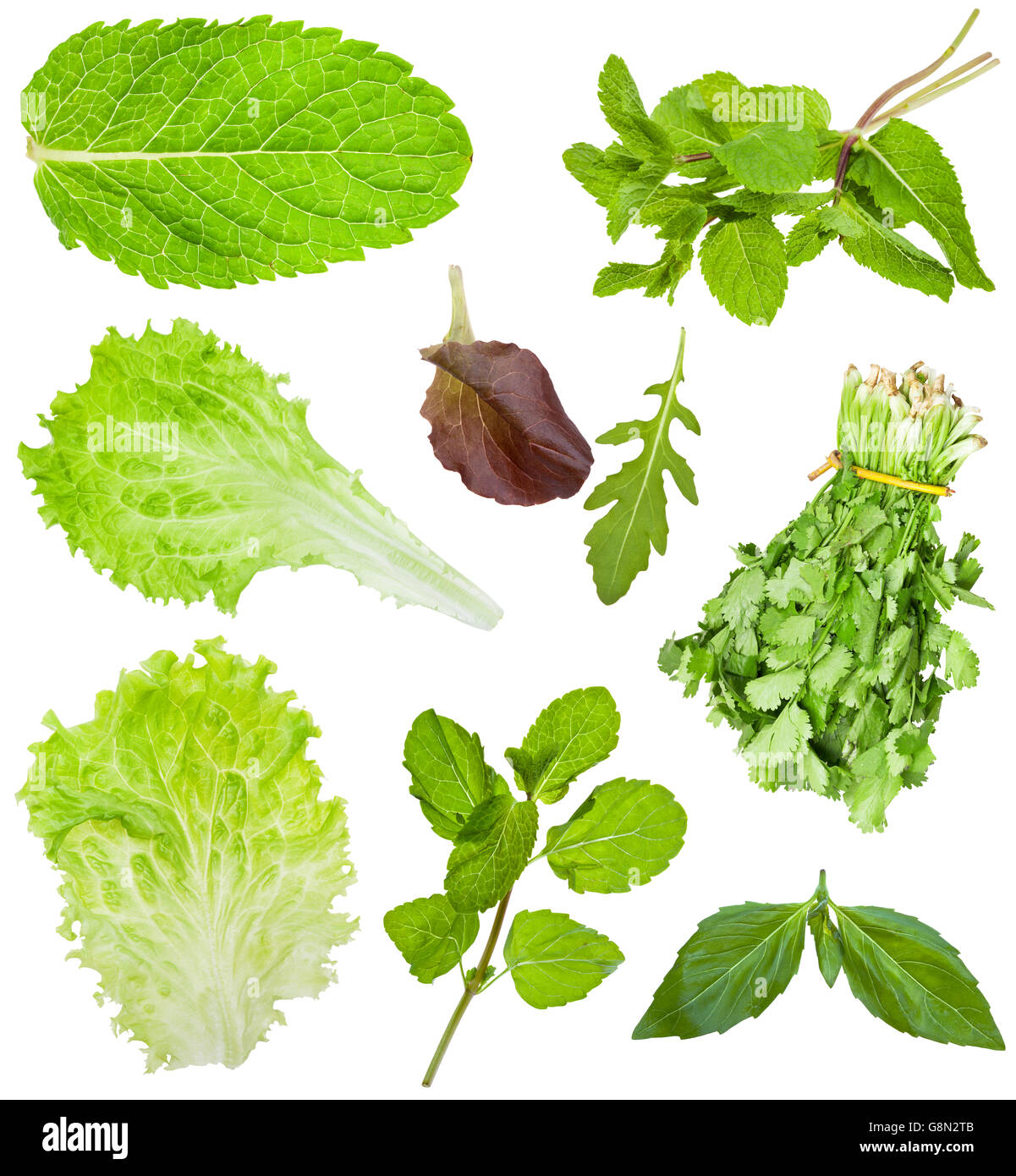 set of fresh lettuce and salad leaves isolated on white background ...