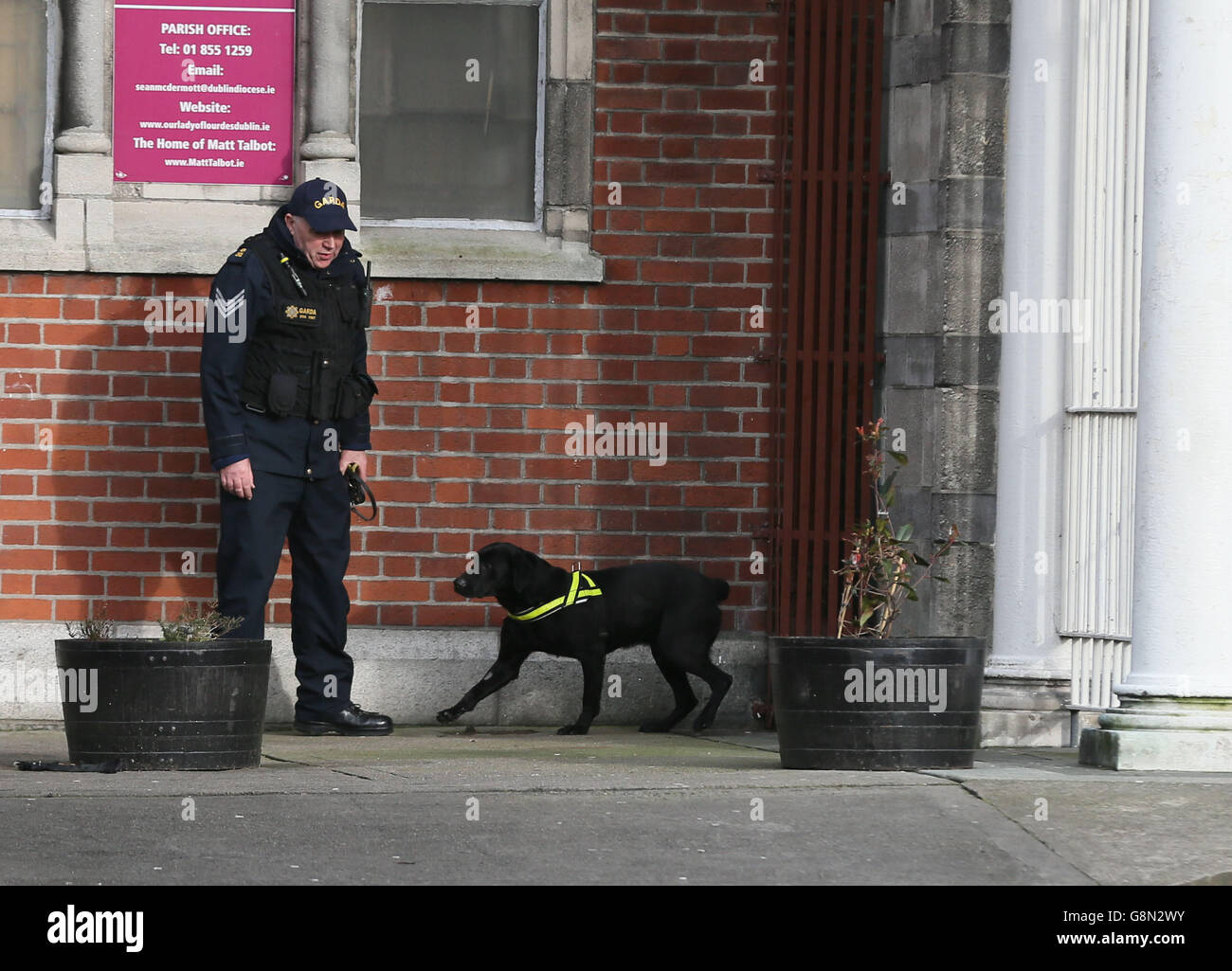Patrol dogs ireland hi-res stock photography and images - Alamy