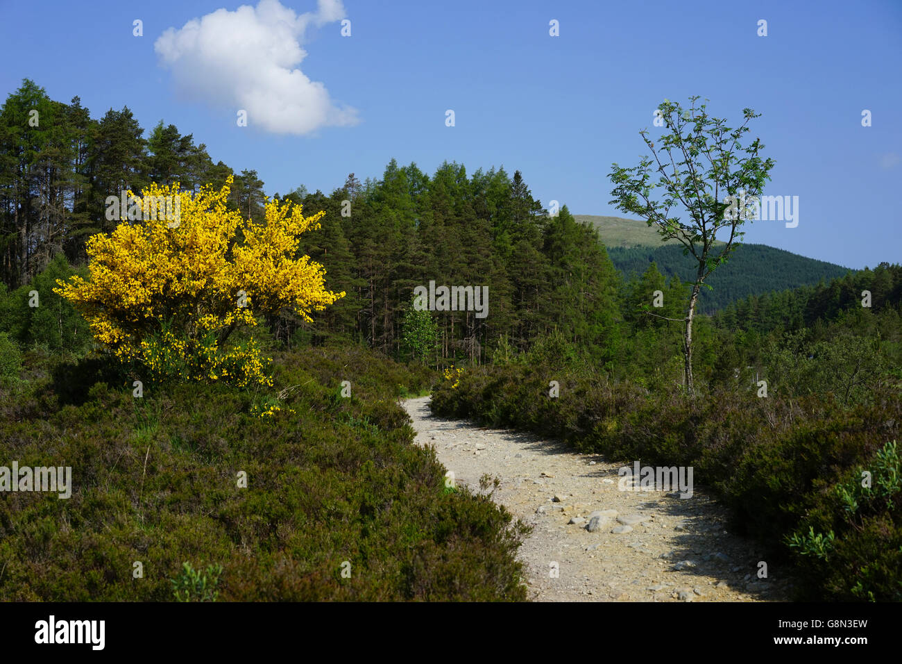 Long distance footpath scotland hi-res stock photography and images - Alamy