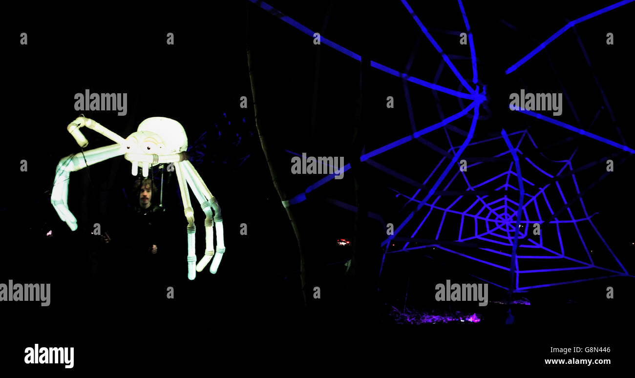 Paper lanterns shaped like giant Bugs and Creatures are lit during the ...