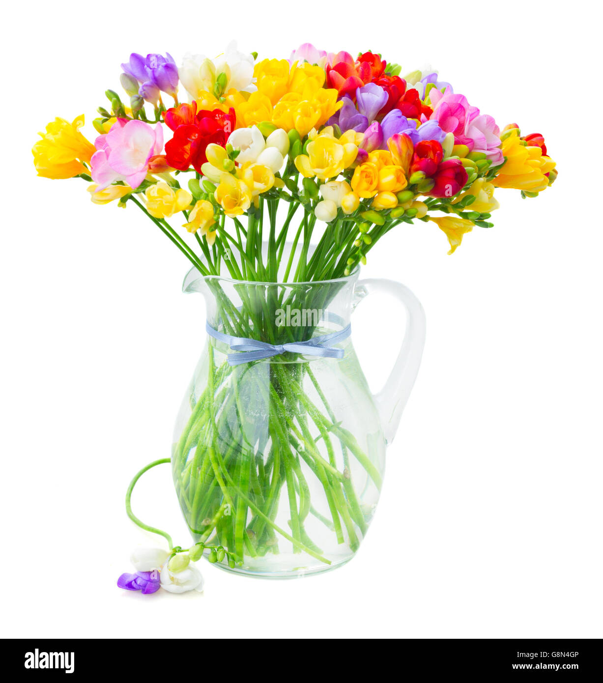Freesias pot hi-res stock photography and images - Alamy