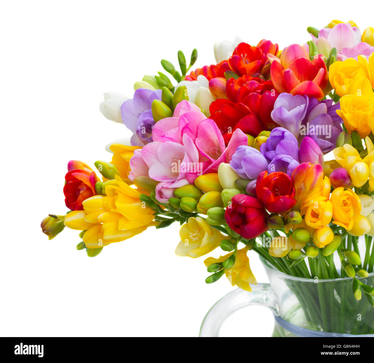 Freesias pot hi-res stock photography and images - Alamy