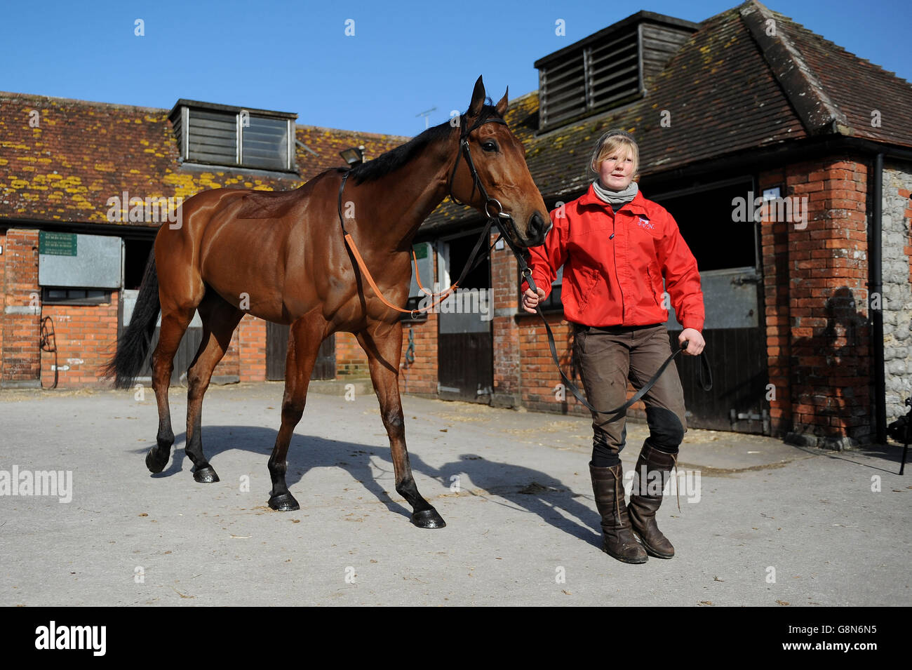 Paul Nicholls Stable Visit - Manor Farm Stables. Old Guard is paraded ...