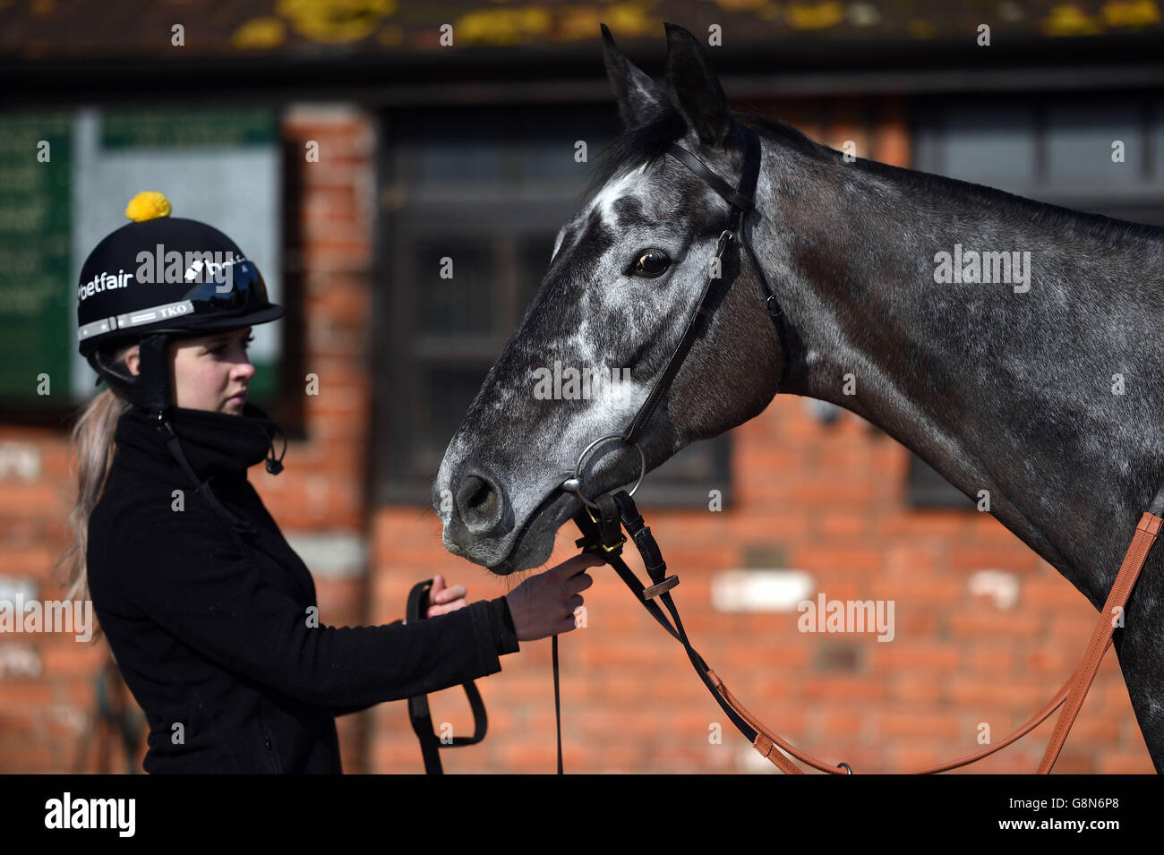 Paul Nicholls Stable Visit - Manor Farm Stables Stock Photo - Alamy