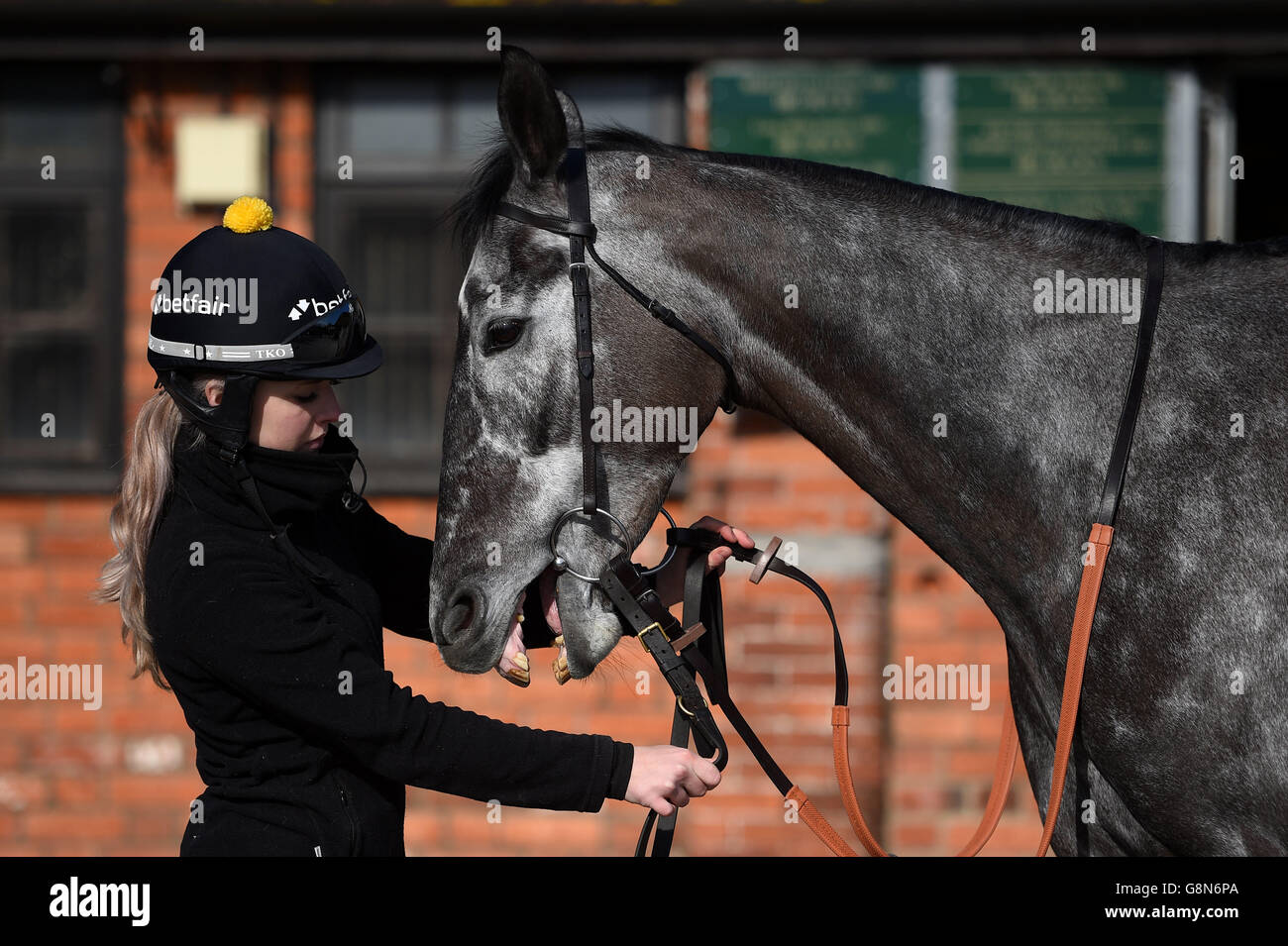 Nicholls ampics hi-res stock photography and images - Alamy