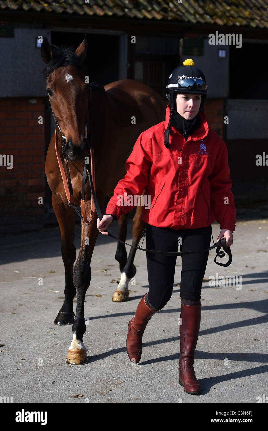 Paul Nicholls Stable Visit - Manor Farm Stables Stock Photo - Alamy