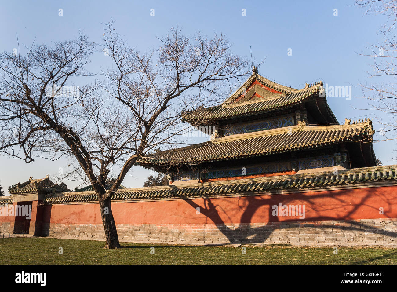Temple tree structure hi-res stock photography and images - Alamy